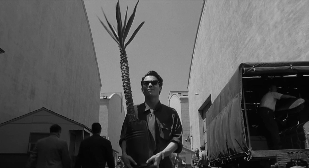 Ed Wood – [FILMGRAB]