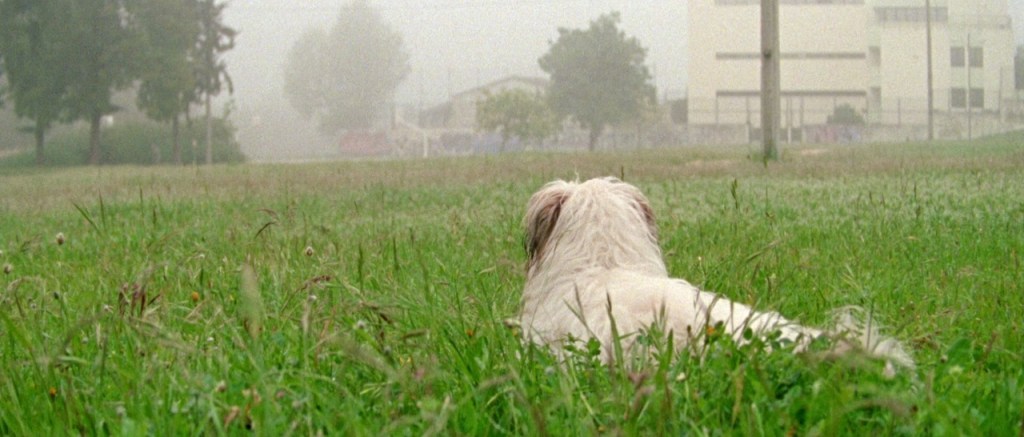 Arabian Nights: Volume 2 The Desolate One – [FILMGRAB]