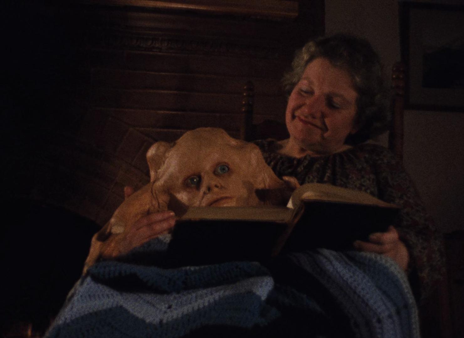 Basket Case – [FILMGRAB]