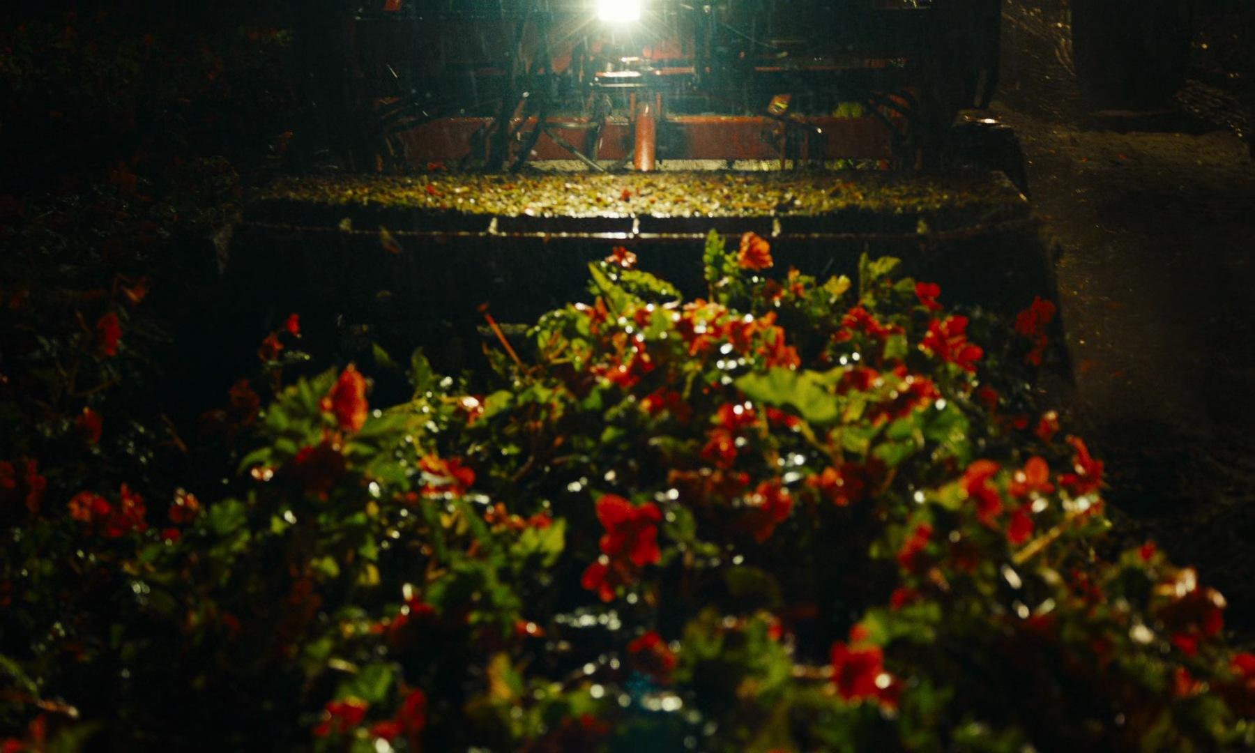 Close – [FILMGRAB]