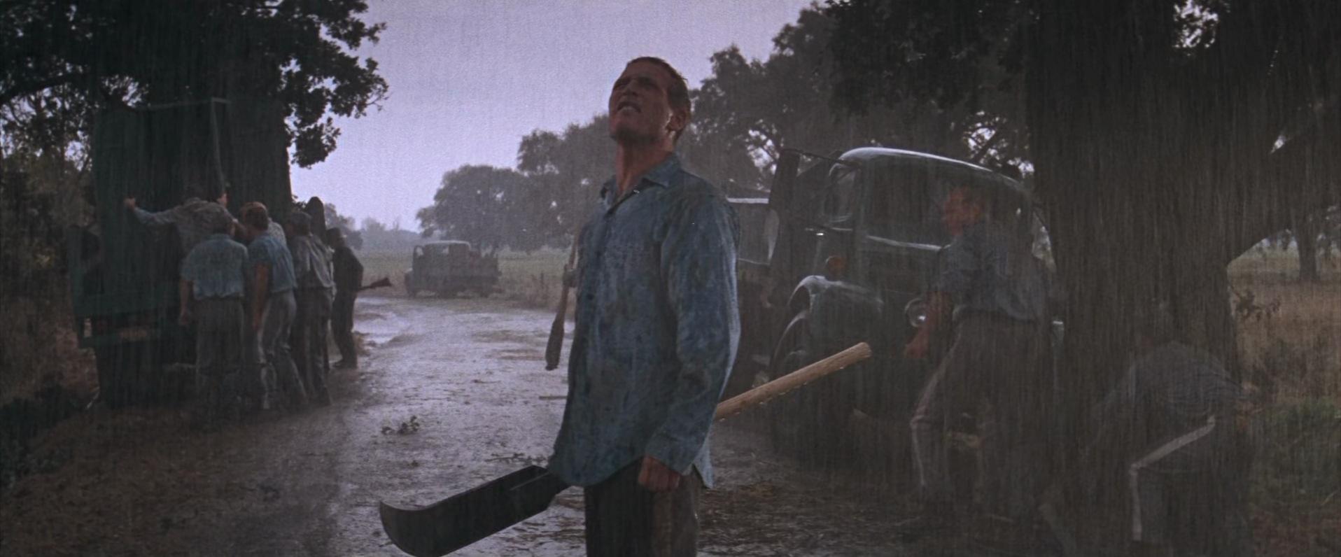 Cool Hand Luke – [FILMGRAB]