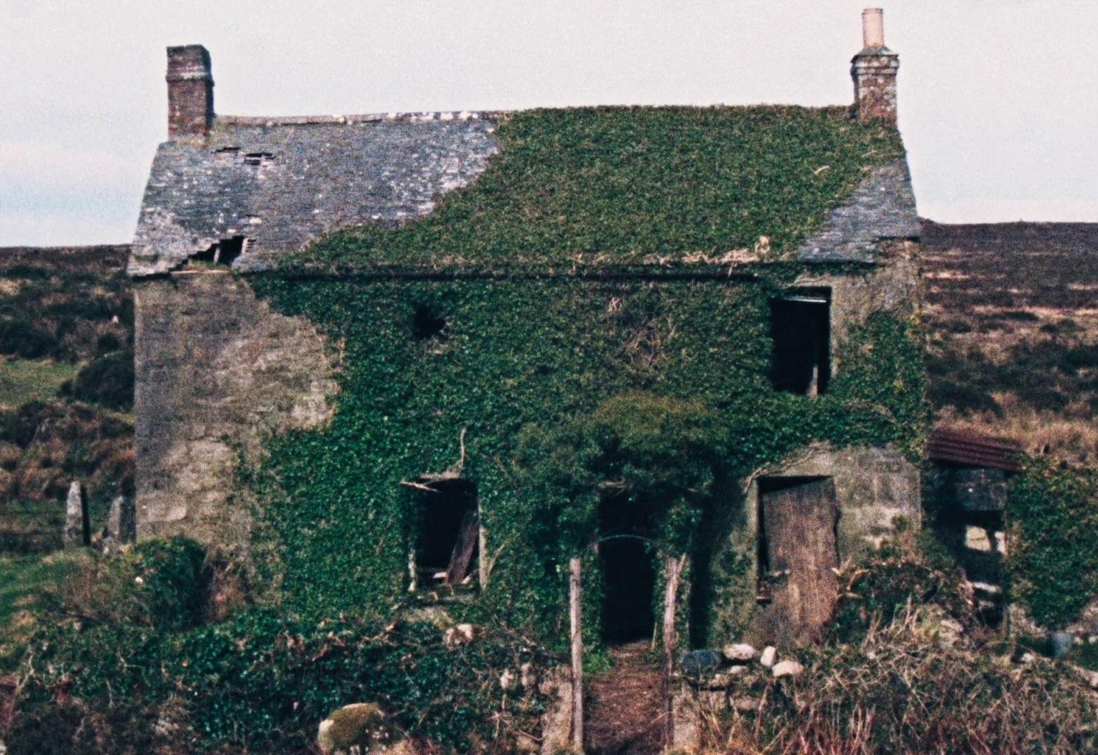 Enys Men – [FILMGRAB]