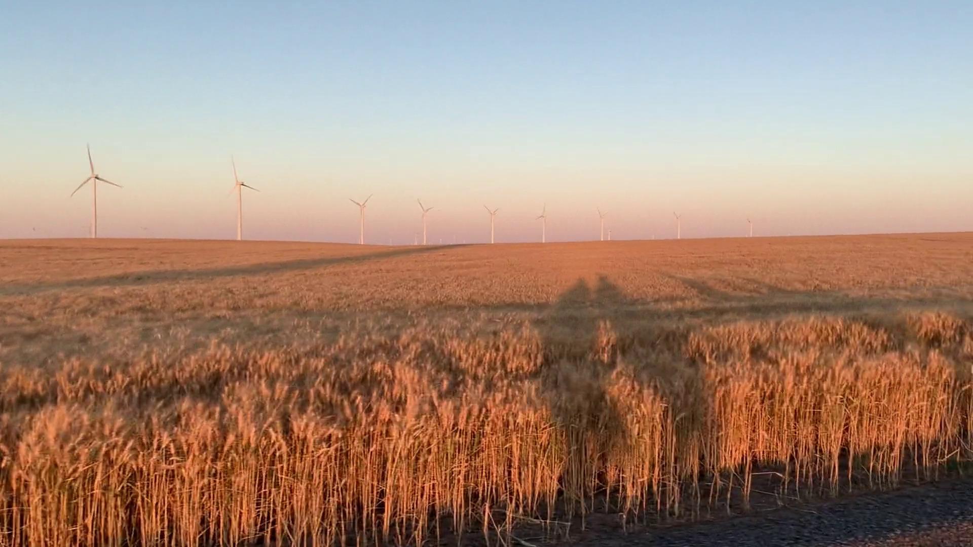 Gasoline Rainbow – [FILMGRAB]