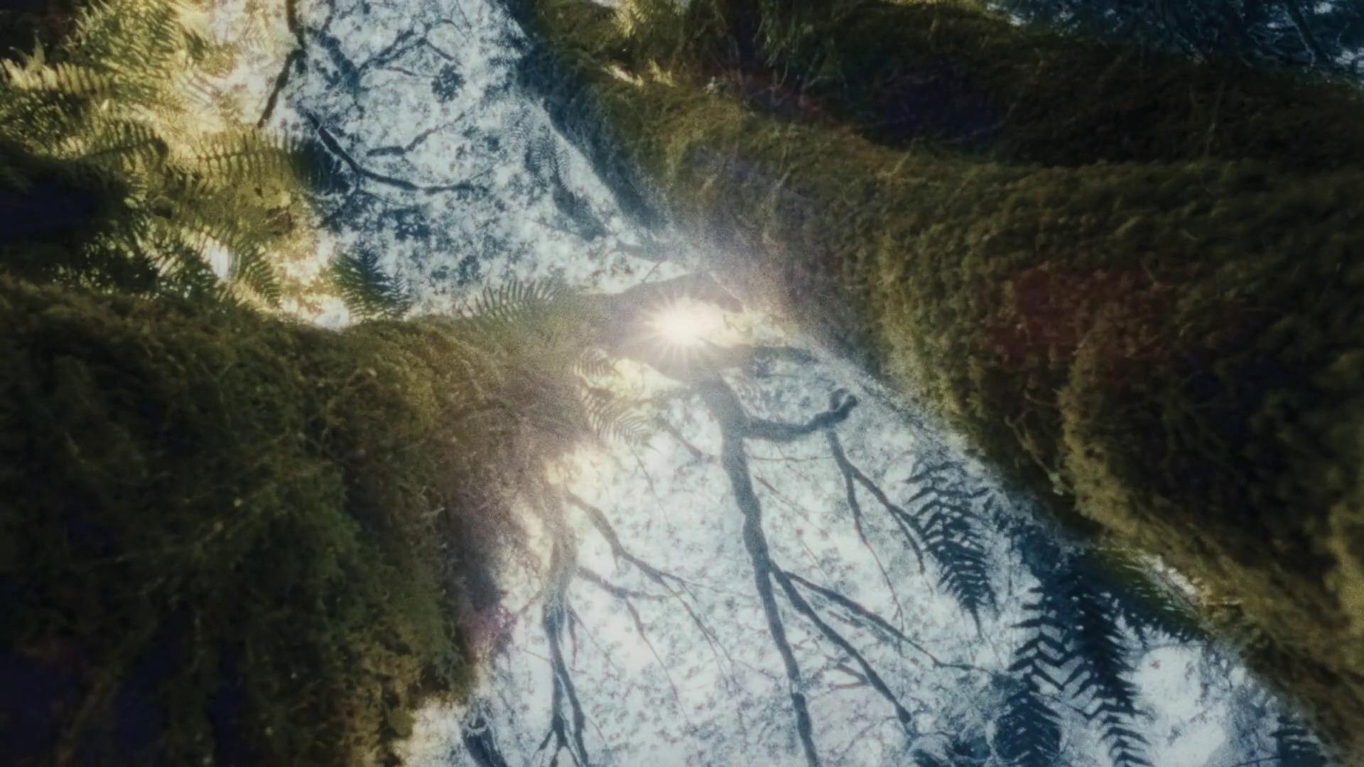 Once Within A Time – [FILMGRAB]