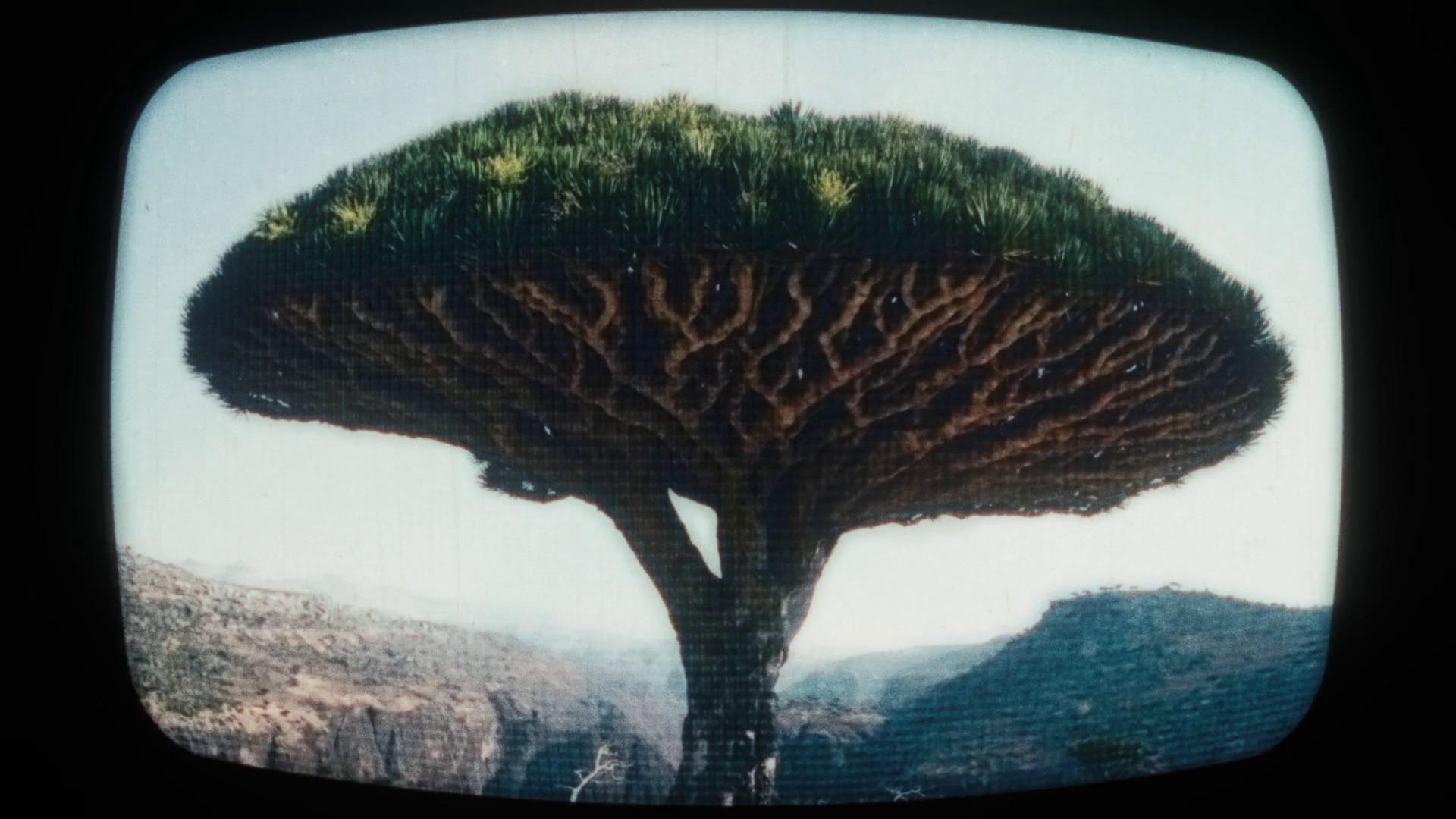 Once Within A Time – [FILMGRAB]