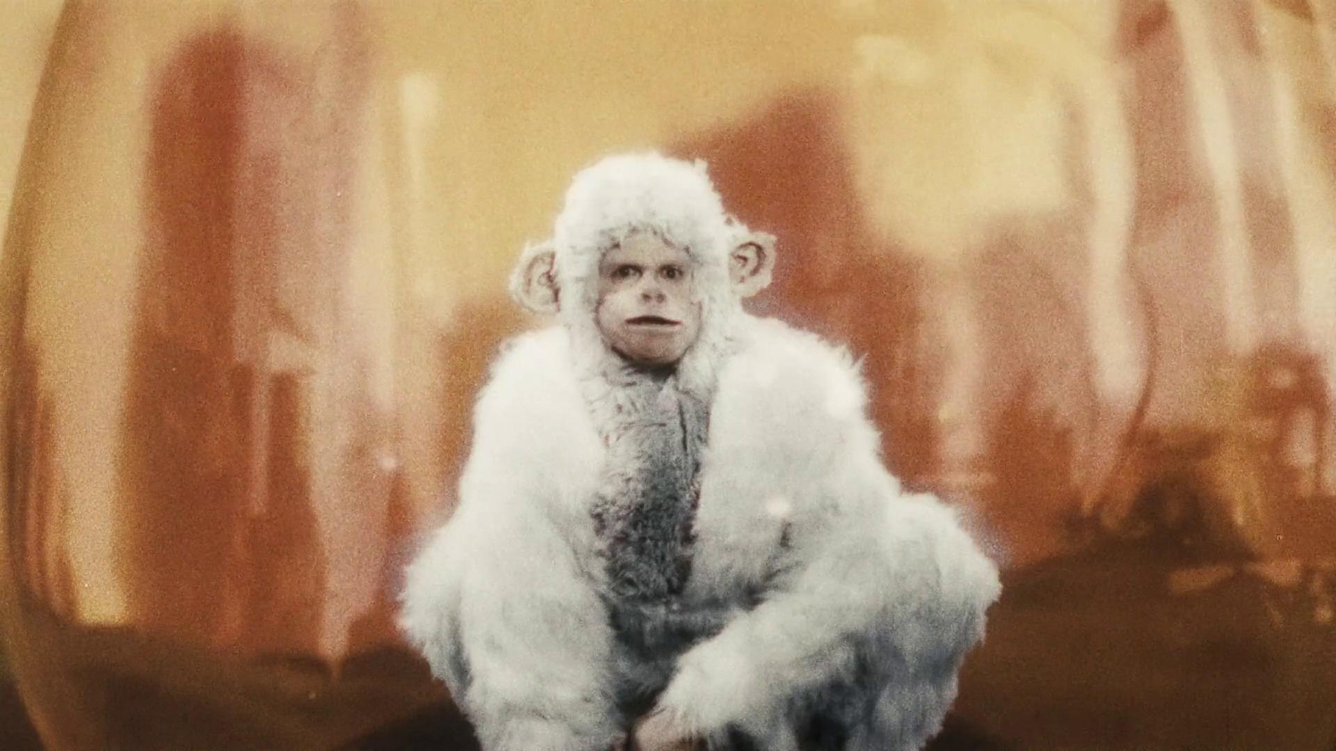 Once Within A Time – [FILMGRAB]