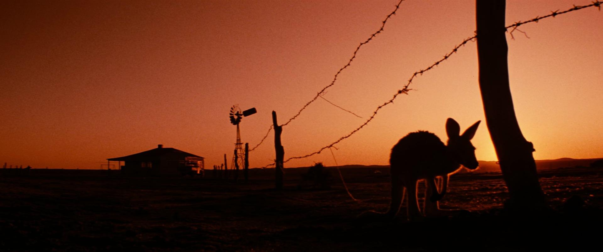 Razorback – [FILMGRAB]