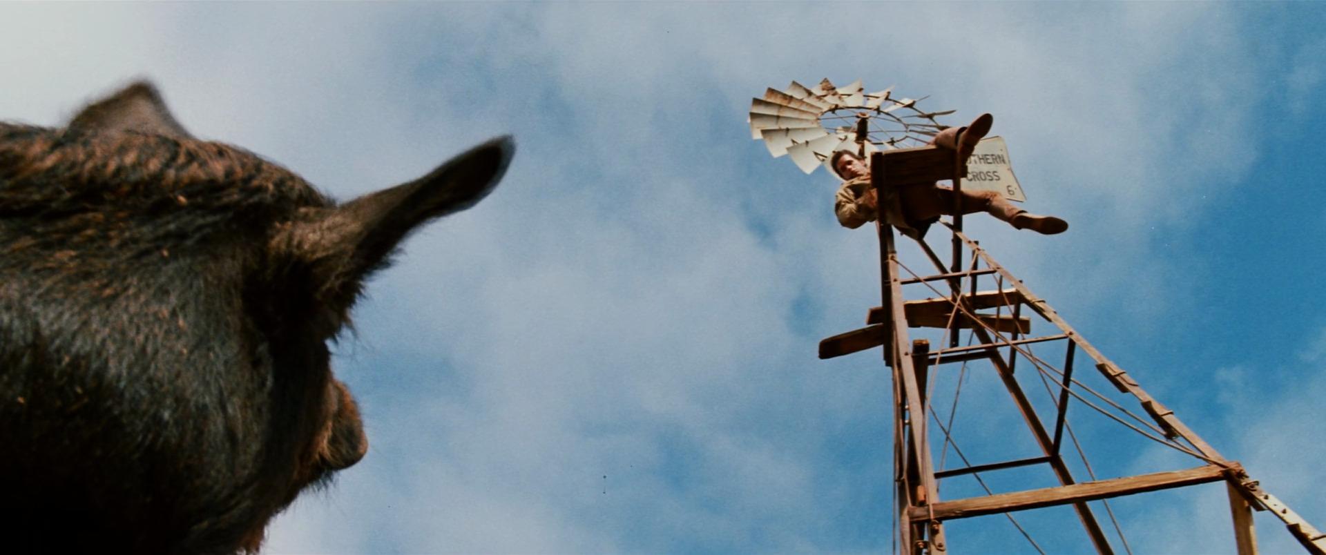 Razorback – [FILMGRAB]