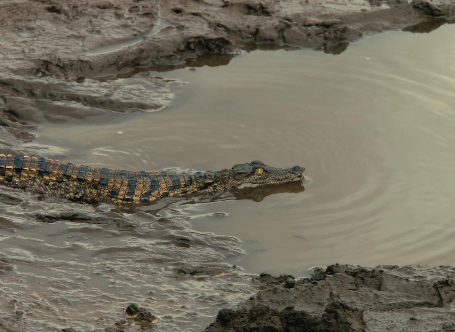 Red Island – [FILMGRAB]