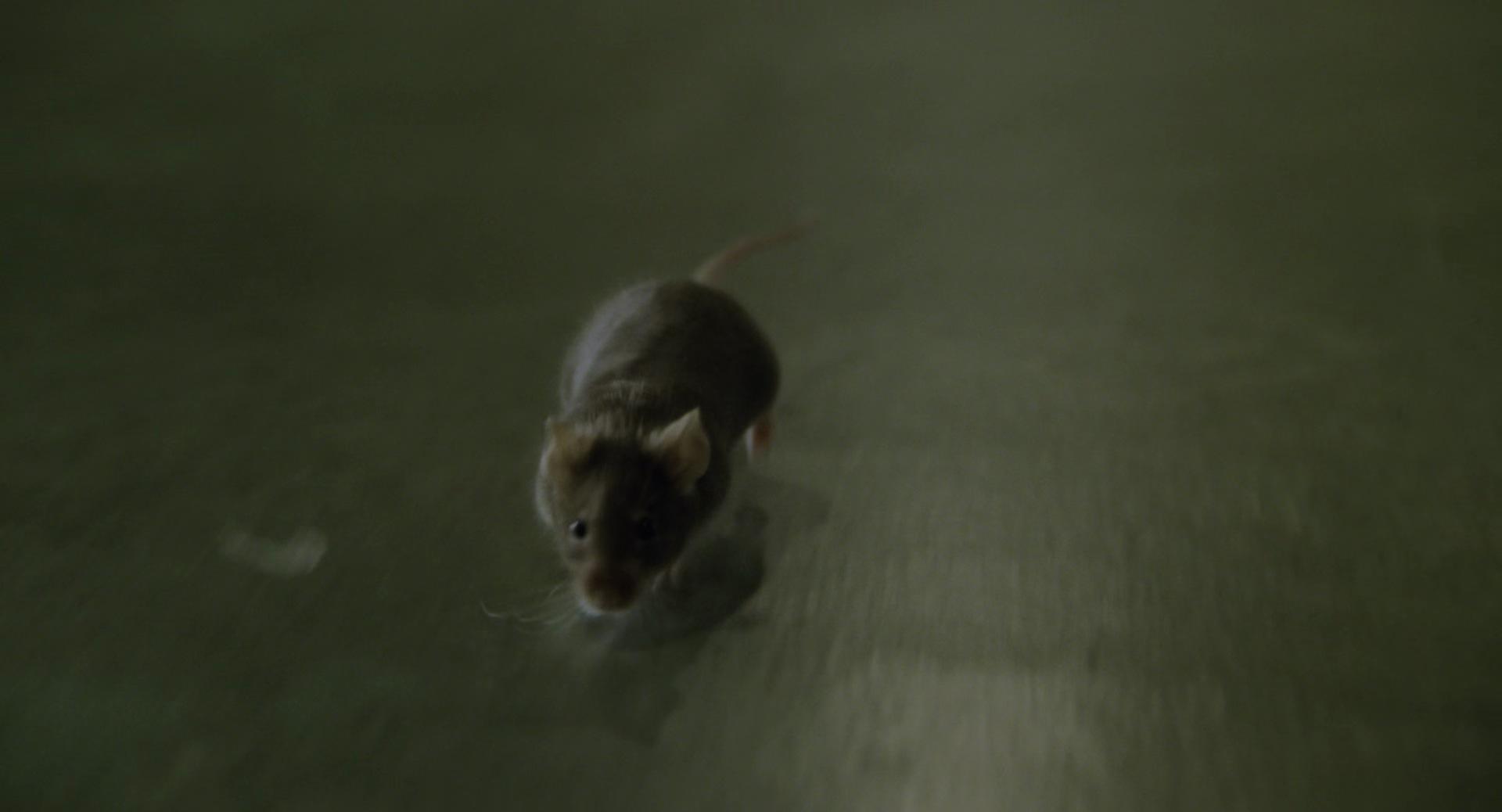 The Green Mile – [FILMGRAB]