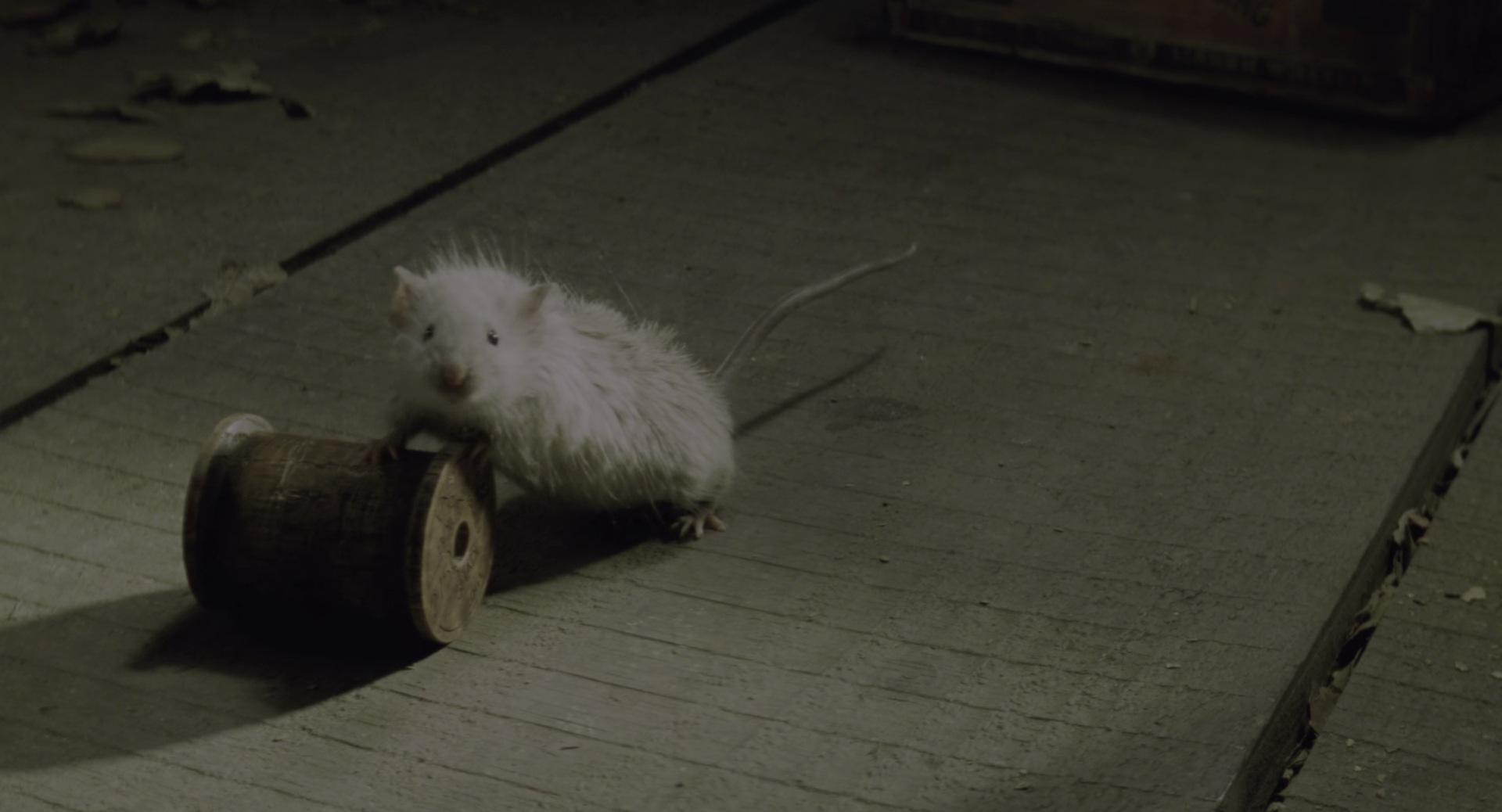 The Green Mile – [FILMGRAB]