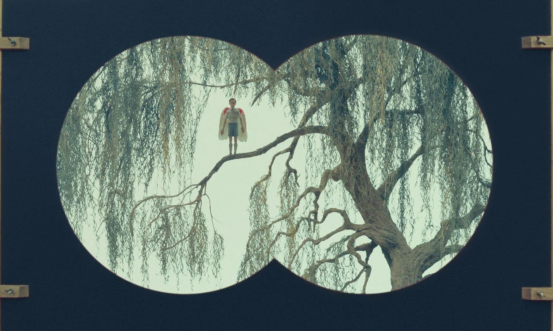 The Swan – [FILMGRAB]