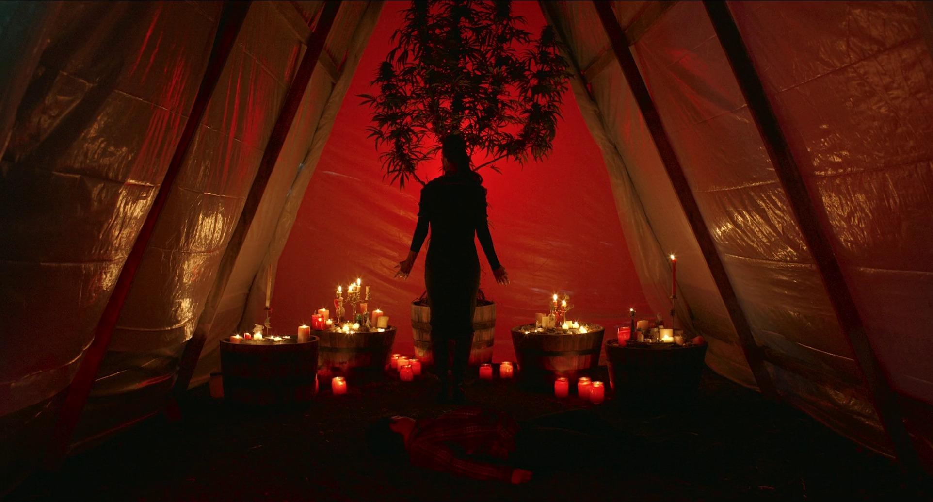 Trim Season – [FILMGRAB]